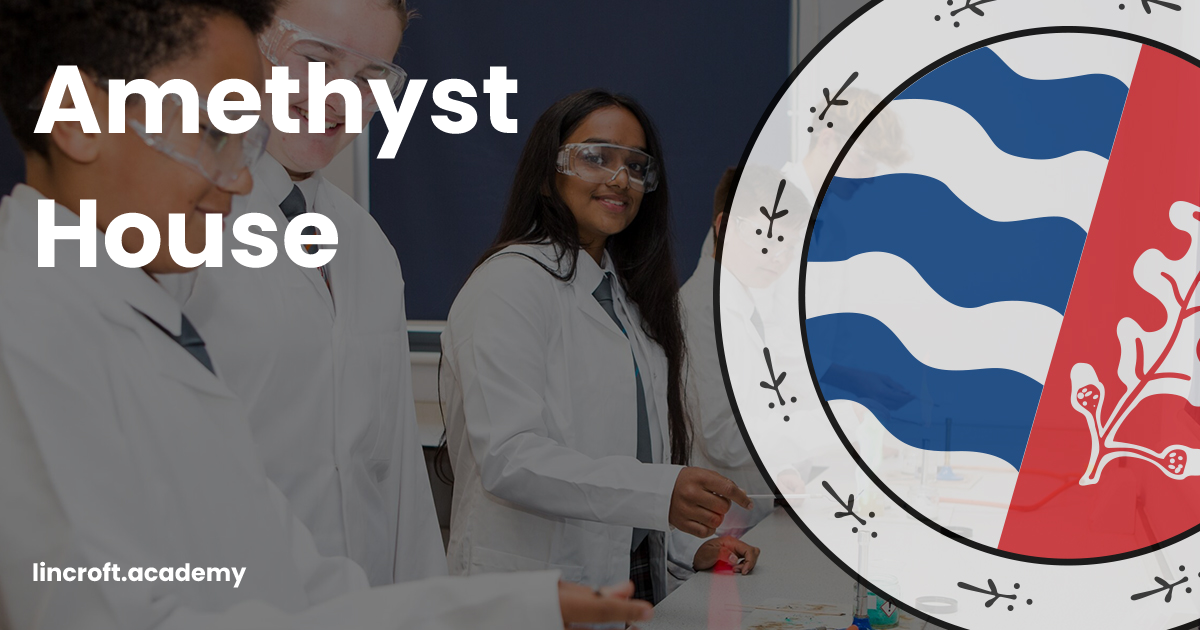 Amethyst House | Lincroft Academy